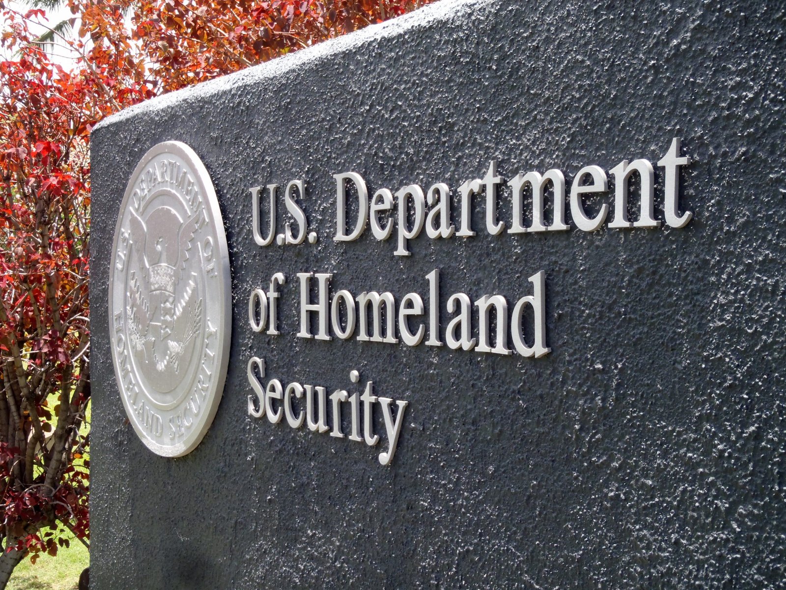 Understanding DHS REAL ID Requirements Impact on Immigration Status ...